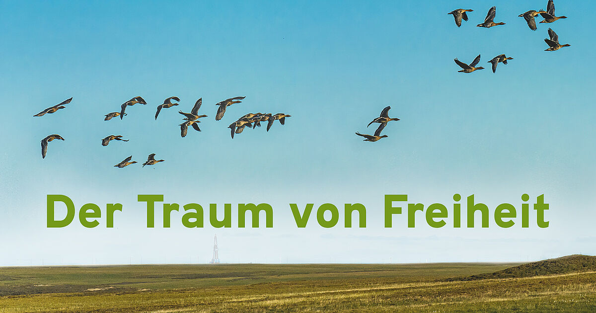 Der Traum von Freiheit | Thomas Meyerhöfer